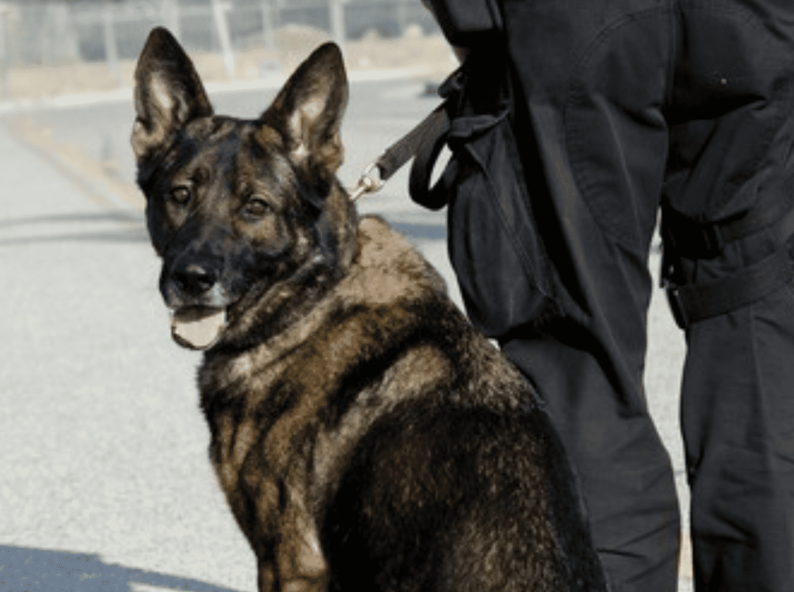 Business Security Systems | Amulet